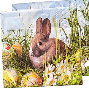 20-ct 13x13 Big Bunny Napkins Easter Napkins Easter Paper Napkins Easter Napkins for Decoupage Easter Napkins Paper Easter Cocktail Napkins Bunny Dinner Lunch Beverage Guest Napkins Disposable