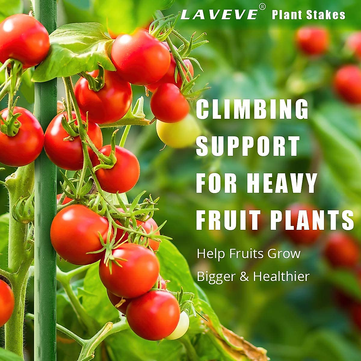 LAVEVE Garden Stakes 36 Inches Heavy Duty Steel Tomato Stakes, Plastic Coated Support Stakes for Securing Trees, Climbing Plants, Cucumber, Beans, 20 Pack