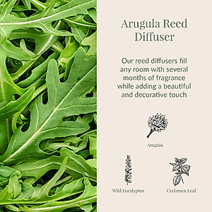 Archipelago Botanicals Arugula Reed Diffuser, Home Fragrance Reed Diffuser, Includes Fragrance Oil, Decorative Wooden Cap & 10 Diffuser Reeds, Perfect for Home, Office or Gift, 7.85 fl oz