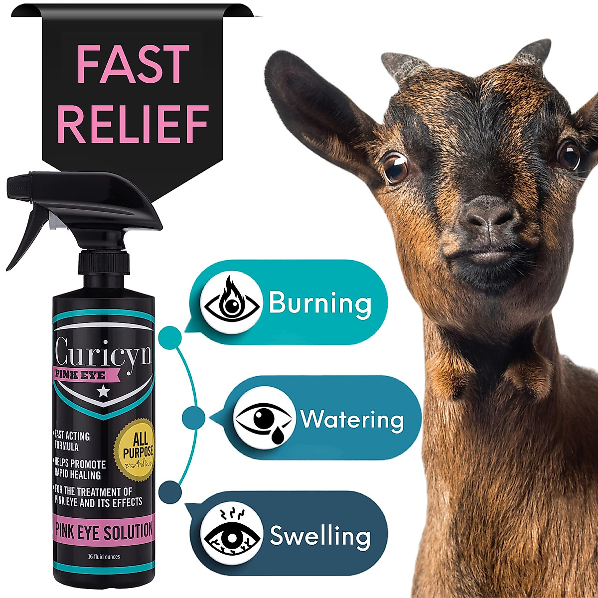 Curicyn Pink Eye Solution - 16oz, Extra Strength Formula Conjunctivitis Eye Drops for Dogs, Cats, Livestock and Horses – Pain Free, Non-Steroidal Dog Eye Wash with Purified Anolyte -