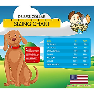 Country Brook Petz - Deluxe Celtic Pride Dog Collar - Made in The U.S.A. - Irish Pride Collection featuring Lucky Designs (1 Inch, Medium)