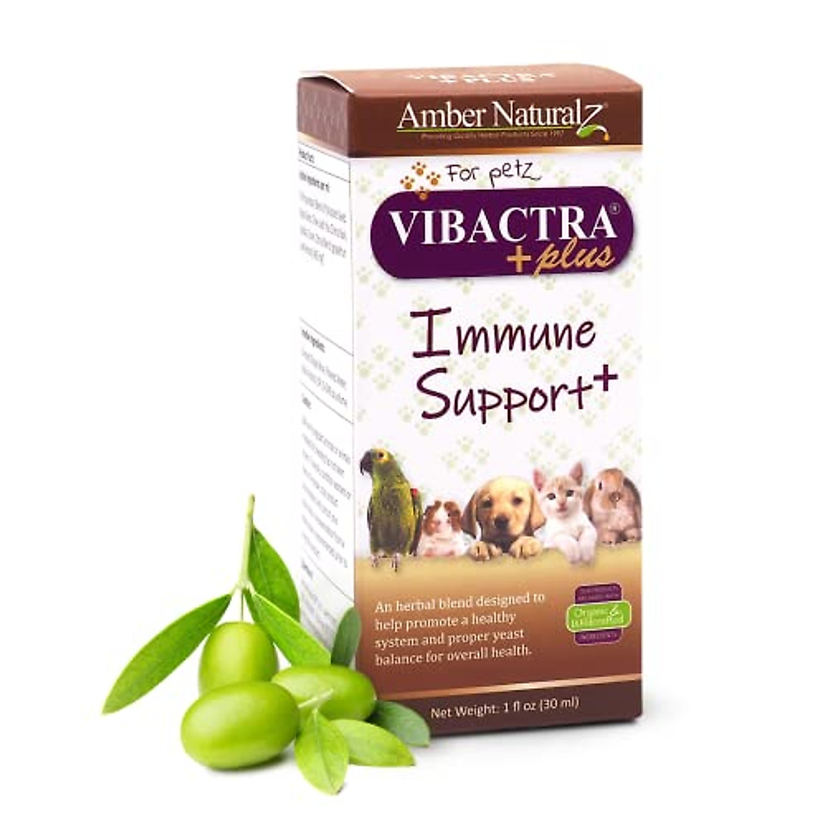 Amber NaturalZ - Vibactra Plus Immune Support Plus - an antioxidant enriched formula helps fight free radicals, supports healthy yeast balance, maintains healthy gut flora, supports upper respiratory health and oral health - 1 Oz