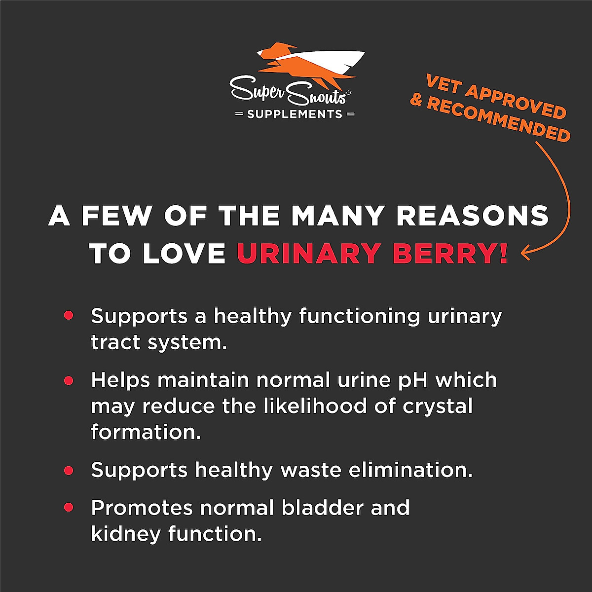 Super Snouts Urinary Berry Urinary Tract Supplements for Dogs & Cats, Made in USA, US & Canadian Blueberry & Cranberry Powder, UTI, Kidney Health Support, Bladder Support for Dogs (2.64 oz)