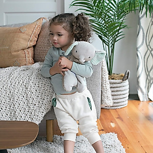 Ingenuity Premium Soft Mini Bean Bag Plush, Van The Elephant, Ages Newborn and up.