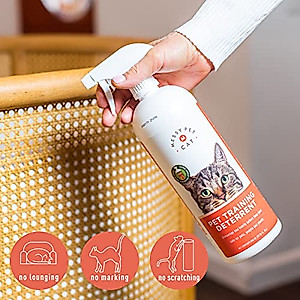 Messy Pet Cat Pet Training Deterrent Spray Bottle, 27.05 fl oz