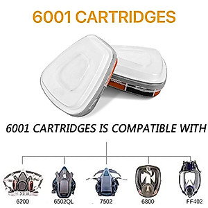 6001 Filter Cartridges Replacement for Gas Respirator, 2pcs Filter Cartridges + 2pcs Filter Covers+8pcs Filter Cottons, Apply to 6100/6200/7501/7502/6502/6800