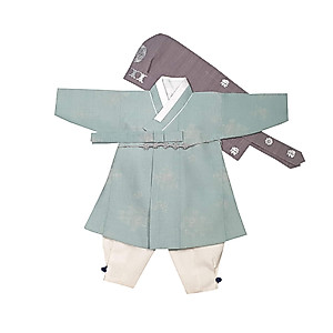 Korean Hanbok Boy Baby 100th Days BAIKIL Party Celebration Clothing Set Light Khaki 100