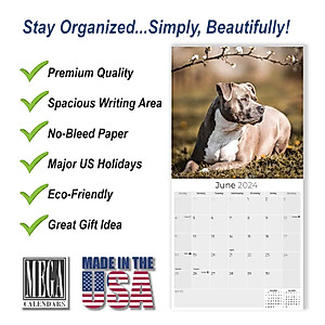2023 2024 American Staffordshire Terrier Calendar - Dog Breed Monthly Wall Calendar - 12 x 24 Open - Thick No-Bleed Paper - Giftable - Academic Teacher's Planner Calendar Organizing & Planning