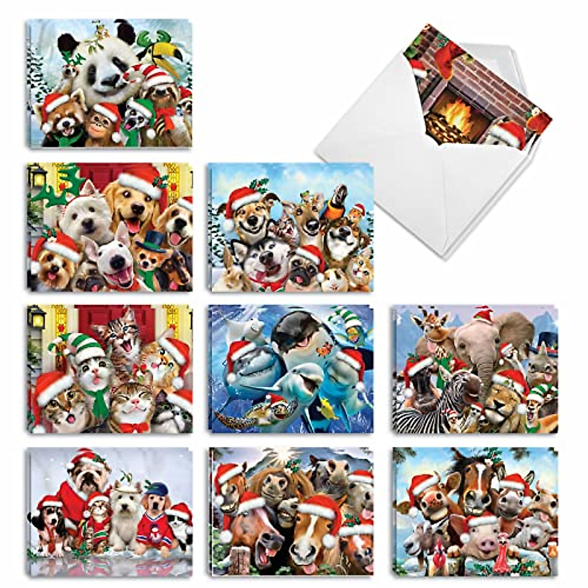 The Best Card Company - Variety Pack of 20 Christmas Greeting Cards with Envelopes, Humor Holiday Assortment for Men and Women (10 Designs, 2 Each) Merry Christmas to Zoo AM6652XSG-B2x10