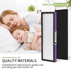 Nisreen FLT5250PT Replacement Filter Compatible with Germ-Guardian Filter C Pet HEPA Filter Air Pu-rifier AC5250PT AC5000E AC5300B AC5350W AC5350B CDAP5500 and More, 2 HEPA and 6 Pre-Filter