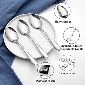 Aebeky 12-Piece Stainless Steel Dinner Spoon,Large Tablespoons,8-Inches (12-Piece)
