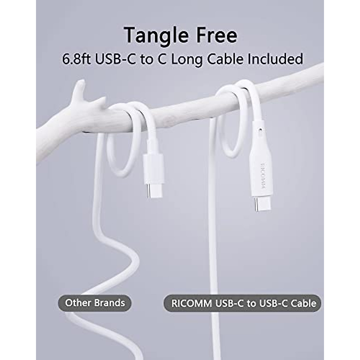 USB C Charger 65W, RICOMM GaN PPS Fast Charger Adapter Kit (Soft Silicone Cable Included) Travel Wall Charger Foldable Plug for MacBook, iPhone Pro Max, iPad, AirPods, Samsung Galaxy S22/S20/S10