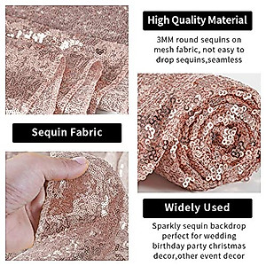 Hahuho Rose Gold Sequin Backdrop Curtain, 2PCS 2FTx8FT Glitter Backdrop Curtain for Parties, Christmas, Wedding, Party Decoration（2 Panels, 2FT x 8FT, Rose Gold