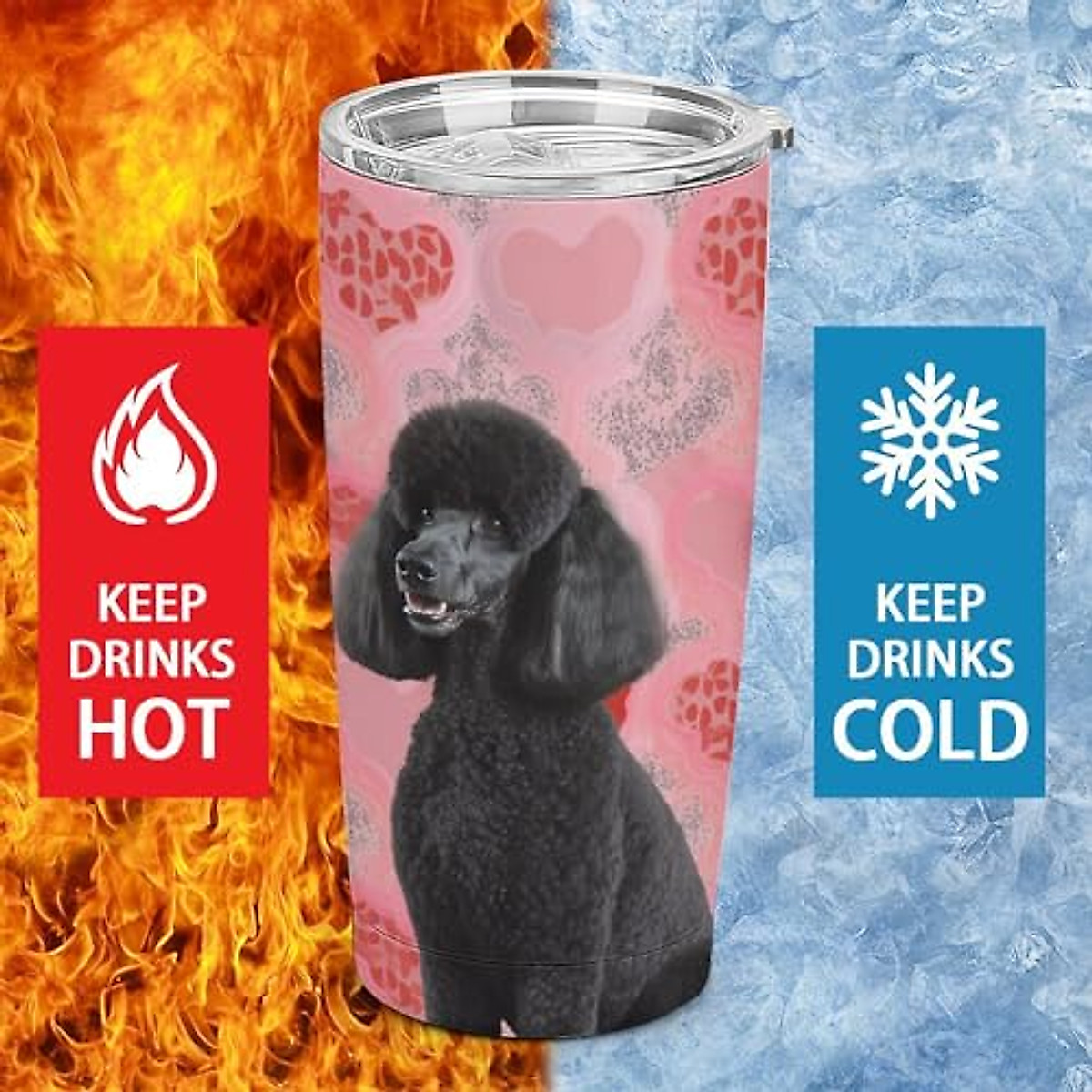 20 Oz Tumbler With Straw Leak Proof Thermos Cup, Poodles Dogs Stainless Steel Insulated Travel Coffee Mug Fit for Car Cup Holder