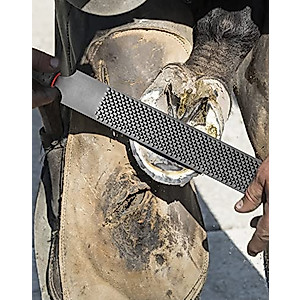 QWORK 14" Farrier Rasp File Double-Sided Hoof File, Farrier Hoof Rasp with Rubber Handle, Goat Rasp Pig Hoof File, Horse Equine Rasp Hoof, Horse Hooves and Pig Hooves, Improved Precision Edges