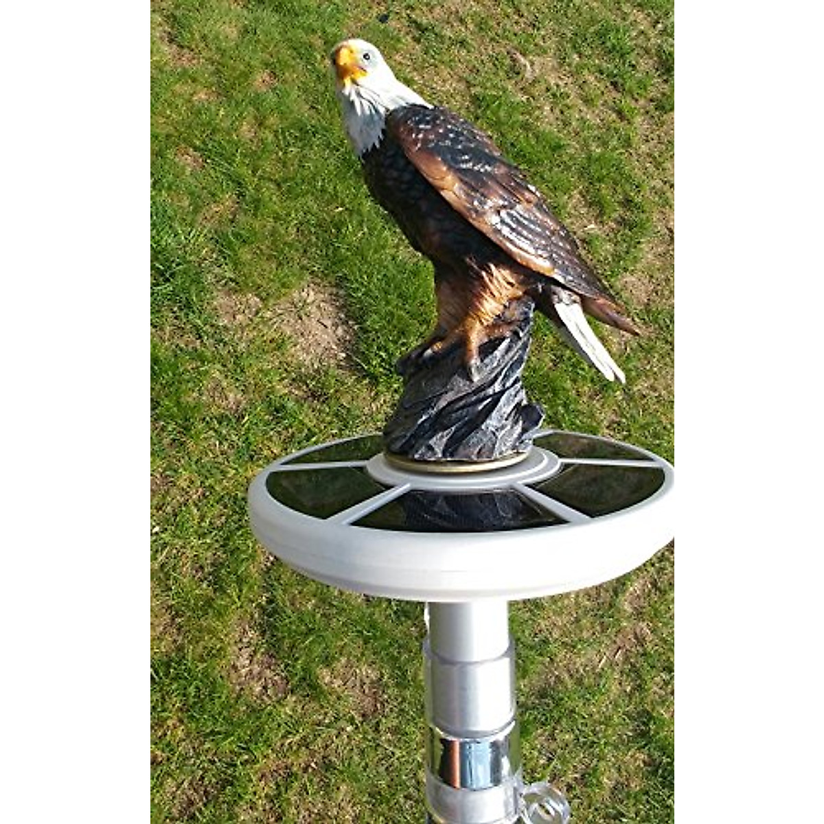 Eagle on Display Flagpole Topper Finial Ball - Hand Painted USA Realistic Lifelike