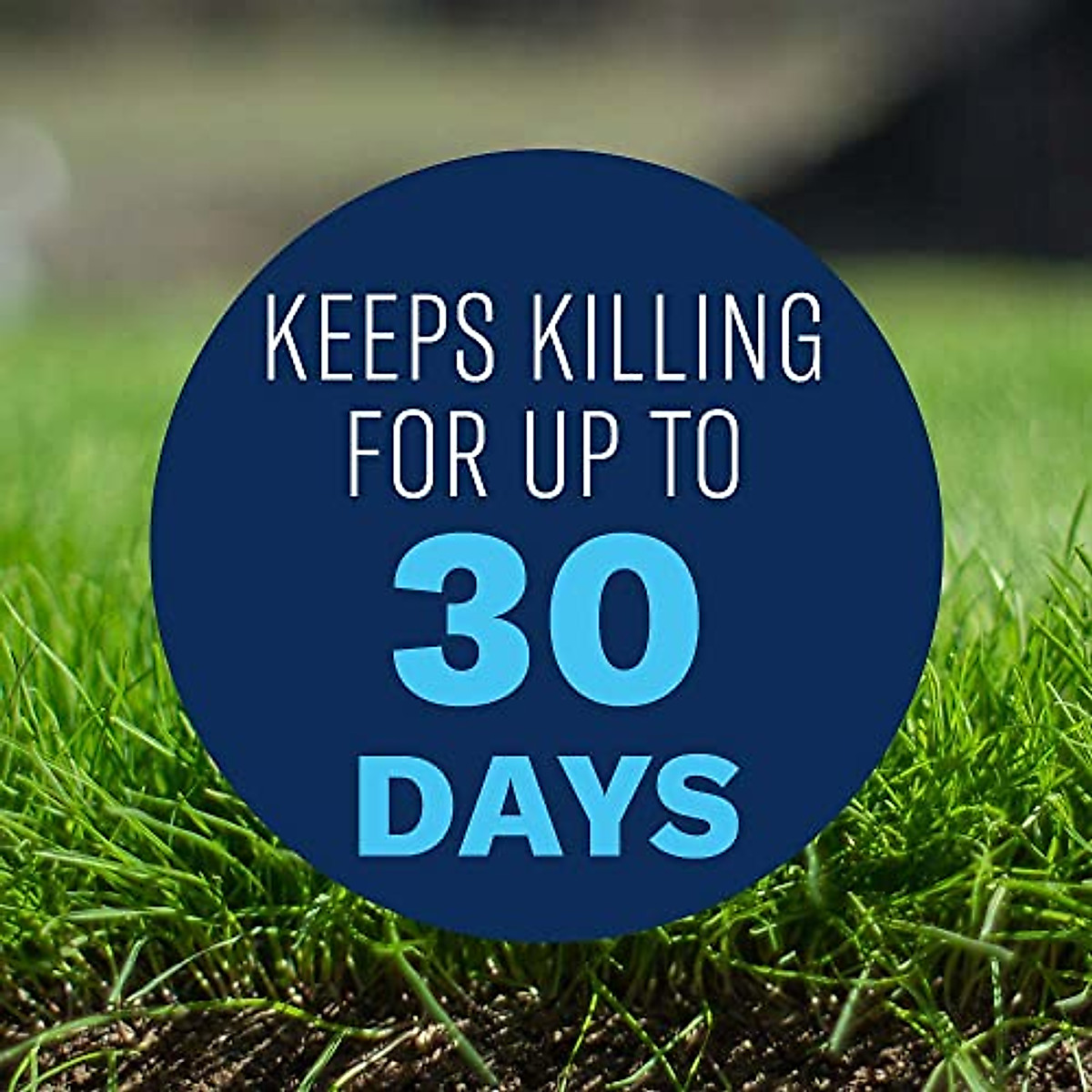 BioAdvanced Lawn Weed and Insect, Concentrate, 32 FOZ