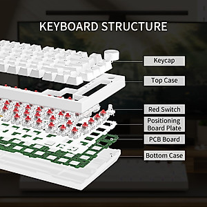Newmen GM326 75% Percent Mechanical Keyboard,Wired Mini Backlit Hot Swappable Gaming Mechanical Keyboard with Knob,82 Keys Anti-Ghosting Compact White Gaming Keyboard for PC Win Mac,Red Switch