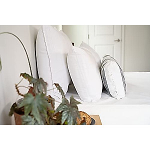 AllerEase 100% Breathable Cotton Pillow Protector for Sleeping, King 36" x 20" (Pack of 1) 2 Count