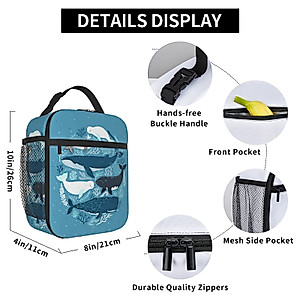 Echoserein Ocean Whale Sea Animals Lunch Bag Insulated Lunch Box Reusable Lunchbox Waterproof Portable Lunch Tote For Men Boys