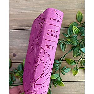 NLT Premium Value Compact Bible, Filament-Enabled Edition (LeatherLike, Pink Rose)