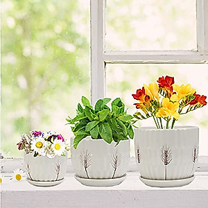Laerjin Plant Pots 4.17" & 5.62" & 6.88" Flower Pot with Drainage Holes and Saucers, Set of 3 Ceramic Plant Pot with Tray, Outdoor Small to Medium Sized Round Modern Ceramic Garden Flower Pots