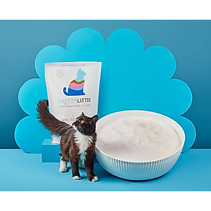 PrettyLitter Health Monitoring Cat Pet Litter (6 lbs), Unscented, Silica Gel, House-cats, Litter