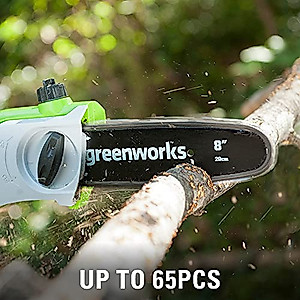 Greenworks 40V 8-inch Cordless Pole Saw with Hedge Trimmer Attachment 2.0Ah Battery and Charger Included, PSPH40B210