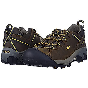 KEEN Men's Targhee 2 Low Height Waterproof Hiking Shoes, Cascade Brown/Golden Yellow, 9.5