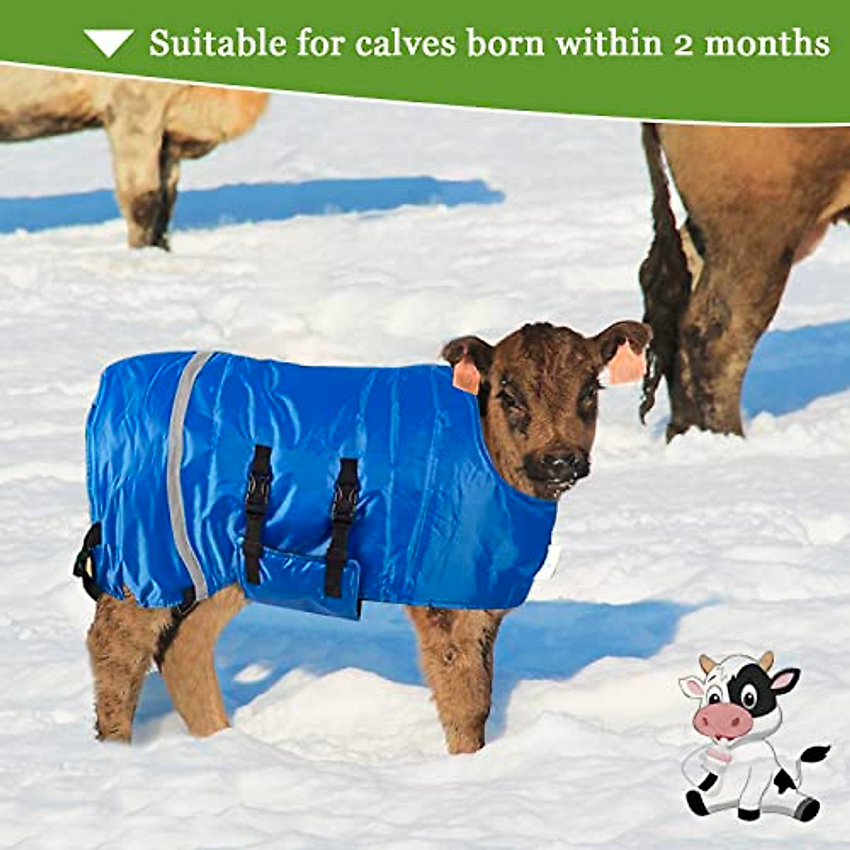 2 Packs Calf Blanket Livestock, Calf Blanket for Cold Weather Windproof and Waterproof, Calf Blanket Winter for Keeping Cow Warmming Thickened Belly Protection Blue