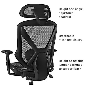 Union & Scale Flexfit Dexley Mesh Task Chair, Black, 2/Pack (UN56946V-CCVS)