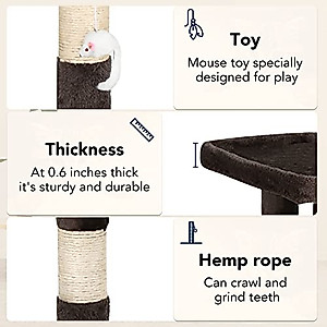 BestPet Cat Tree 36 inch Tall Cat Tower for Indoor Cats with Cat Scratching Post,Cat Condo Furniture Activity Centre with Cat Hammock & Funny Toy,Dark Gray