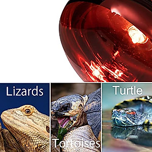 Protover Infrared Reptile Heat Lamp Bulb, 75 Watt Basking Spot Light, Red Heat Lamp Bulb for Reptiles and Amphibian Chicks, Dog Heating Use, 2Packs