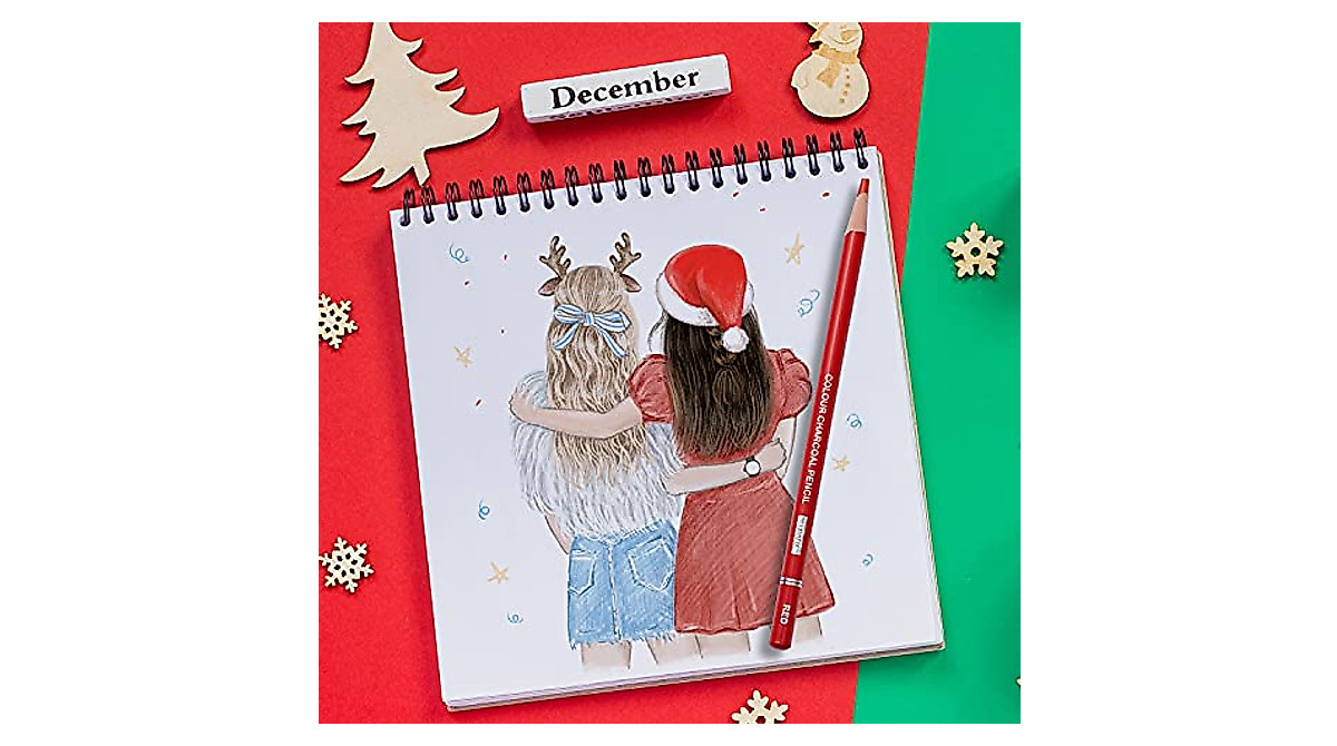 PANDAFLY 24 Colors Charcoal Pencils for Artists