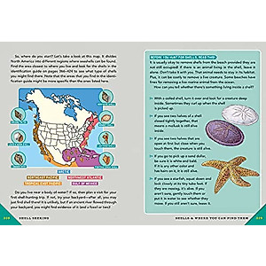 Outdoor School: Rock, Fossil, and Shell Hunting: The Definitive Interactive Nature Guide