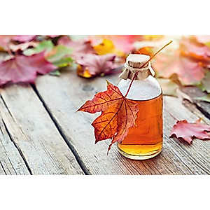 Tap My Trees VT State Tested Maple Syrup Hydrometer And Hydrometer Test Cup Bundle For Testing Maple Syrup