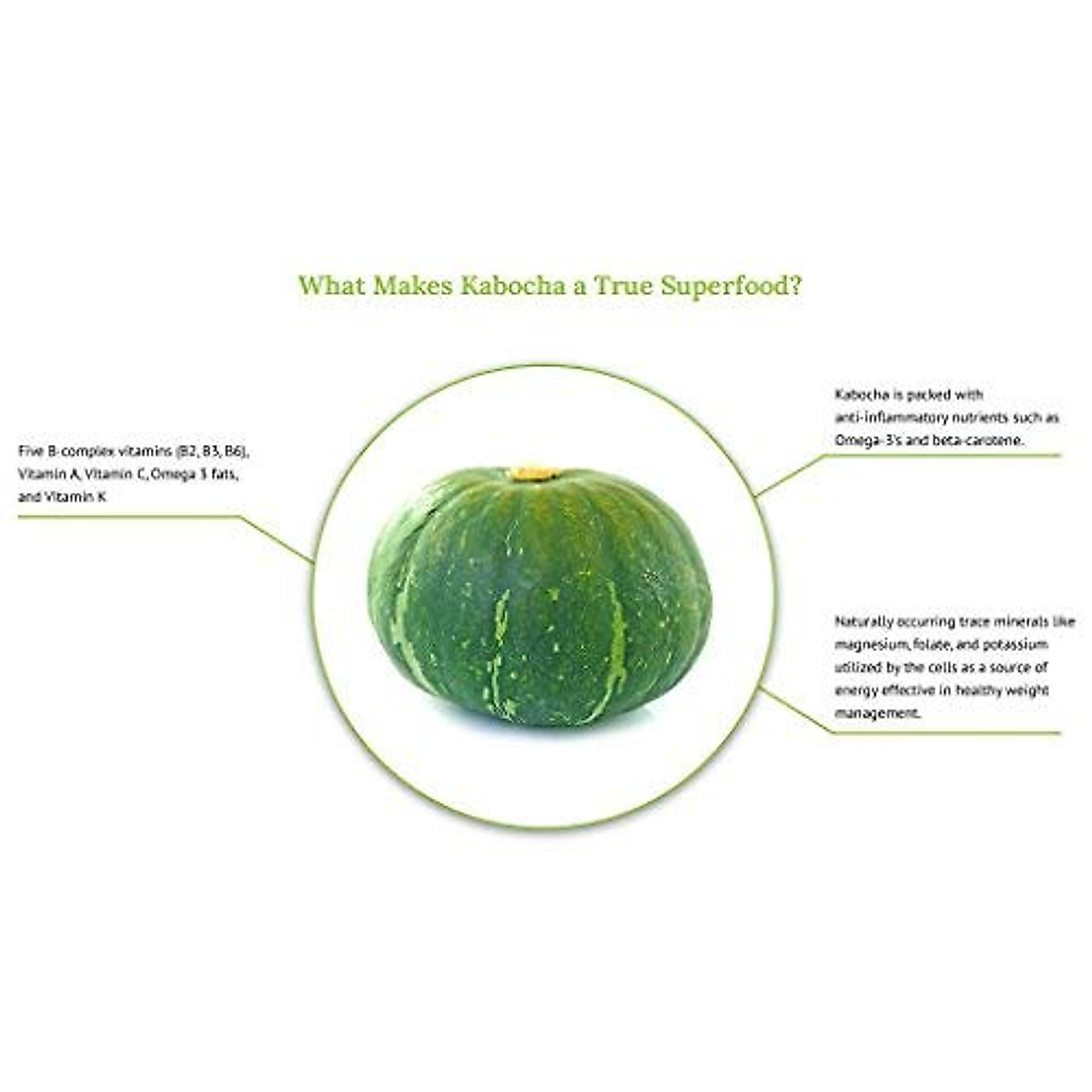 BochaSweet The Supreme Sugar Replacement (16 oz) - 1:1 Granular Sugar Substitute - Perfect for Baking, Keto-Friendly, Zero Glycemic, Non GMO, No Bitter Aftertaste