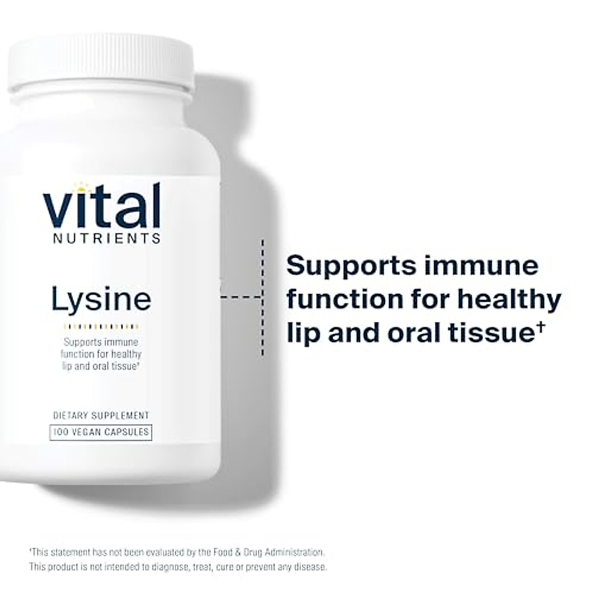 Vital Nutrients - Lysine - Supports Immune Function and Normal Arginine Levels - Supports Calcium Absorption - 100 Vegetarian Capsules per Bottle - 500 mg