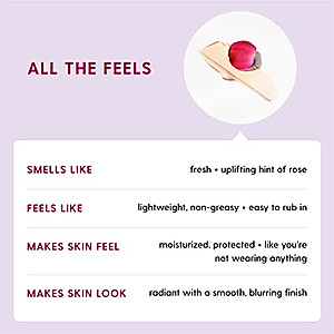 Kinship Self Reflect Rose SPF 32 Probiotic Moisturizing Sunscreen Zinc Oxide - Rose Scented Sheer, Reef-Safe, Benzene-Free Mineral Sunscreen for Blemish-Prone Skin (1.75 oz)