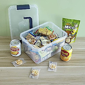 Nesmilers 4.5 L Plastic Latch Storage Boxes with Lids, 6-Pack Plastic Boxes