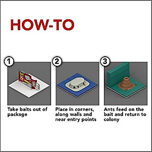 Raid Ant Killer Baits, For Household Use, Child Resistant, 8 Count