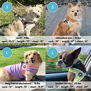 Gooby Simple Step in III Harness - Pink, Small - Small Dog Harness with Scratch Resistant Outer Vest - Soft Inner Mesh Harness for Small, Medium Dogs