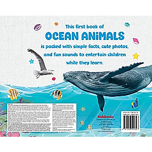 First Animal Facts: Ocean-5 Button Animal Sounds Book