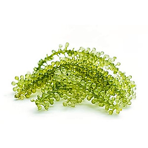 Alterna My Hair. My Canvas. New Beginnings Exfoliating Cleanser, 0.85 Fl Oz