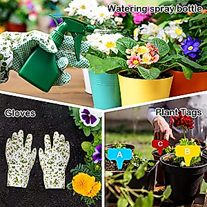 BIUBIUFLY Mini Gardening Tool Set: Stainless Steel Heavy Duty Garden Tools Kit Miniatur Floral Succulent Potting Planting Small Hand Tool Set Gardener Repotting Tools Kit