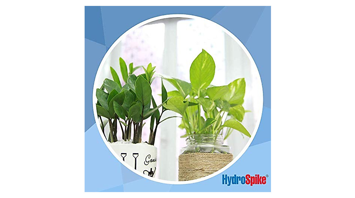 HydroSpike HS-300 3-Pack Automatic Plant Watering System