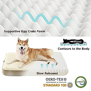 Lesure Orthopedic Dog Beds for Medium Dogs - Egg Crate Foam Puppy Bed with Ultra Soft Sherpa Surface&Removable Cover, Machine Washable Waterproof Dog Bed with Non-Slip Bottom(Curds&Whey,30x20x3inch)