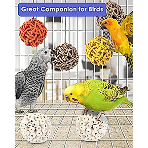 Bissap 6PCS Small Parrot Chew Toys, Sola Balls Parrot Chewing Foraging Toys Colorful Bird Foot Balls for Cockatiels Conures Cockatoos Parakeets Love Birds Small Parrot Cage Bite Toys
