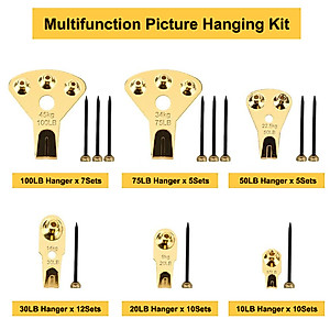 125 pcs Picture Hangers, Heavy Duty Picture Hanging Kit with Nails, Professional Picture Hanging Kit on Wooden/Drywall for Canvas, Office Pictures, Clock, House Decoration, Holds 10-100 lbs