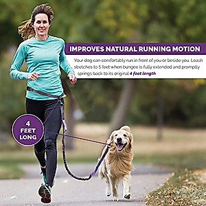 Tuff Mutt Hands Free Dog Leash, A Dog Running Leash for Dogs That Makes A Great Waist Leash for Dog Walking, Double Handle Bungee Dog Leash with Reflective Stitching and Adjustable Dog Walking Belt